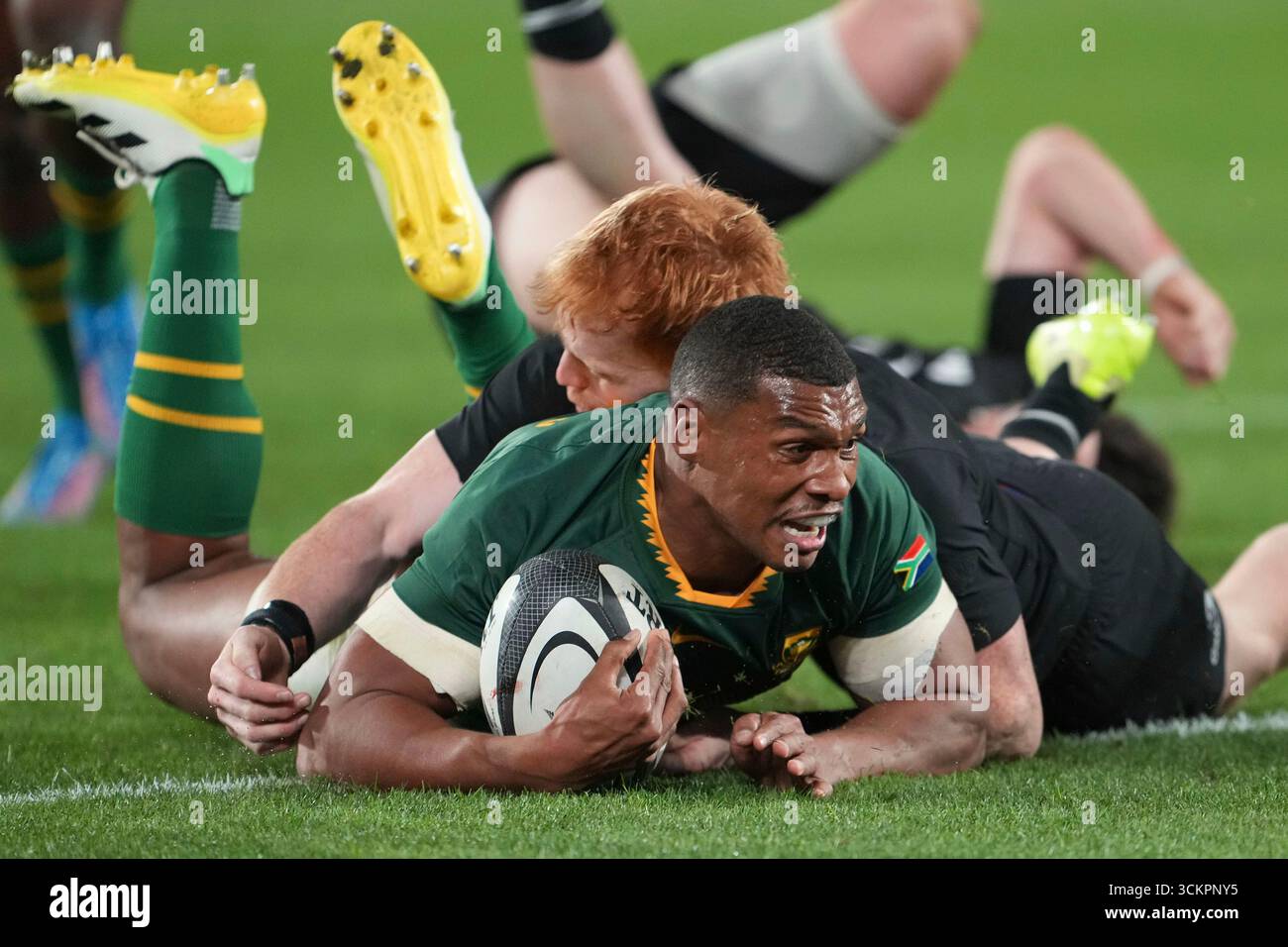 South Africa Damian Williamse scores a try in the tackle of All Blacks ...