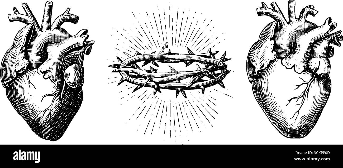 Sacred heart with thorn wreath - religious symbolism and spiritual ...