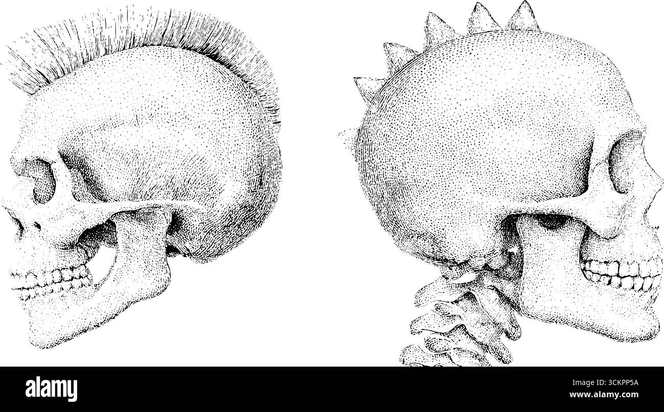 Punk rock skulls with mohawk and spiked collar design for posters or ...
