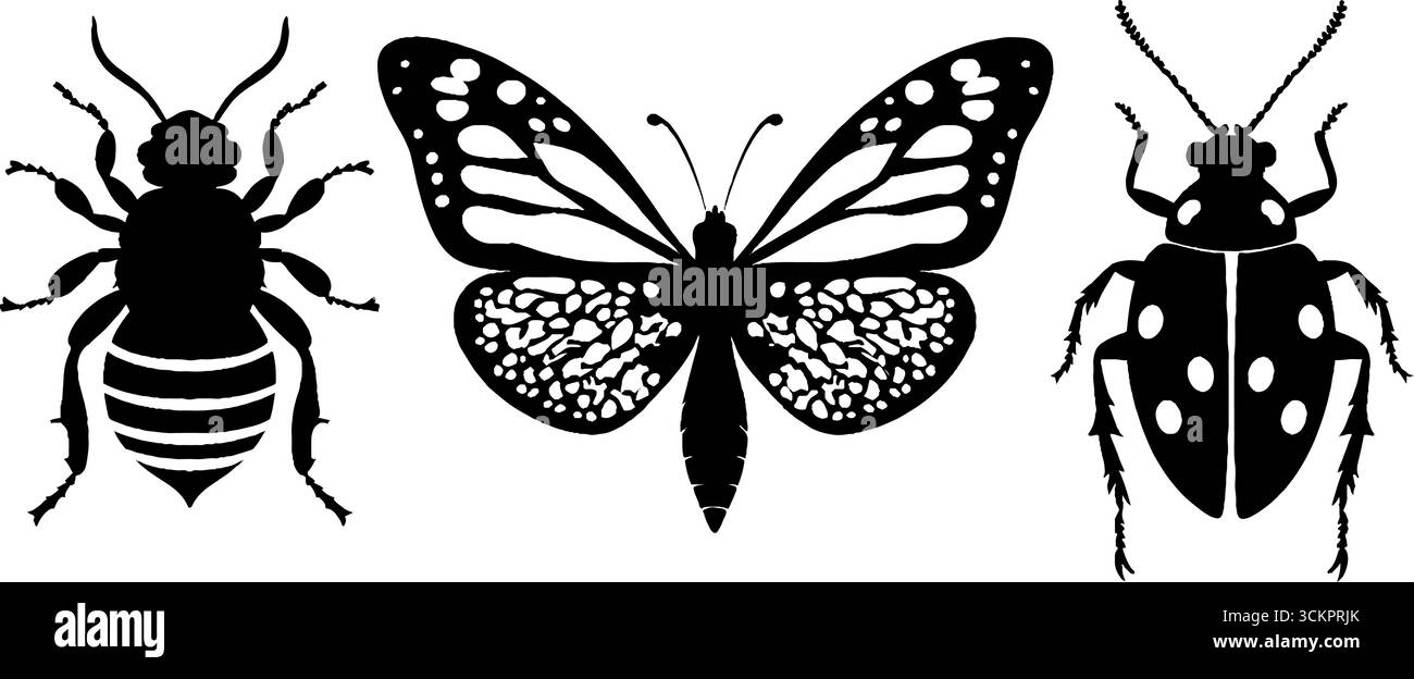 Moth biodiversity insect Cut Out Stock Images & Pictures - Alamy