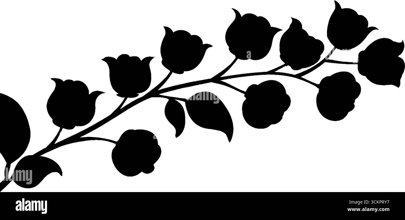 Floral silhouette with vine and leaf patterns for decorative design ...