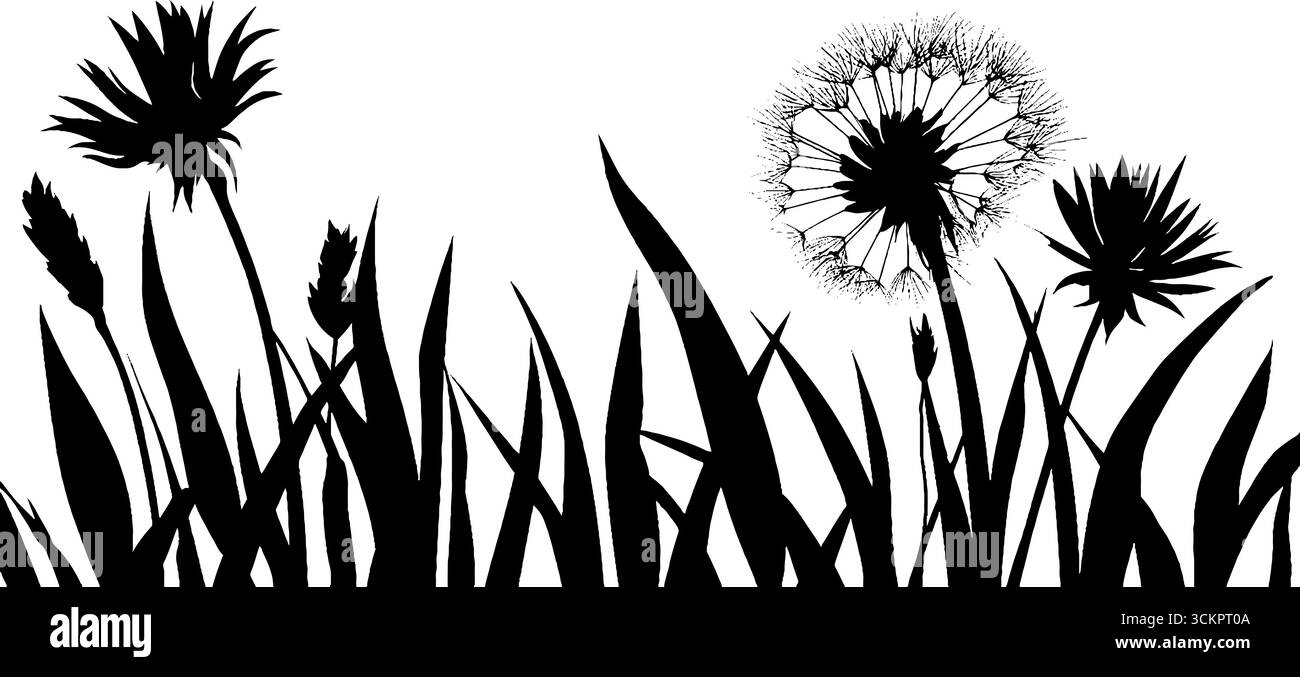 High contrast dandelion and grass silhouette border for nature design ...