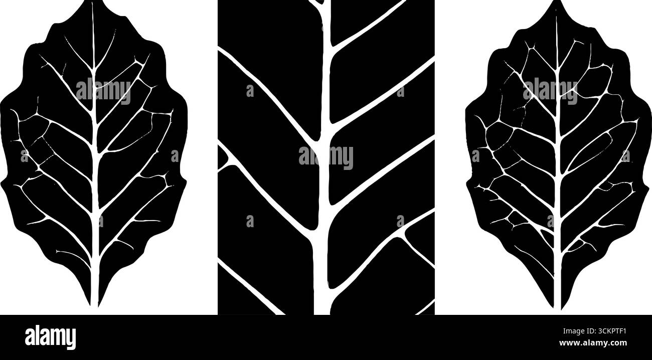 Nature aesthetics structure Black and White Stock Photos & Images - Alamy