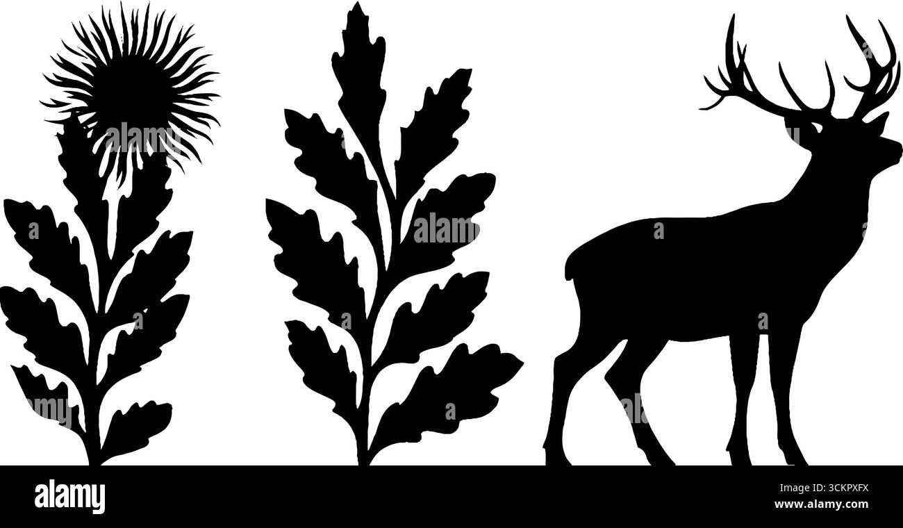 Stag and thistle Stock Vector Images - Alamy