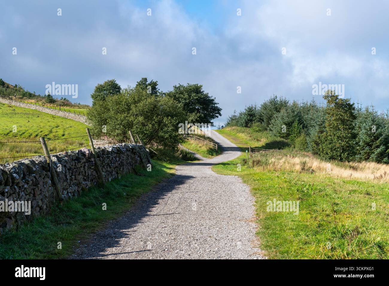Path to Shutlingsloe above Macclesfield Forest, Cheshire, England Stock ...