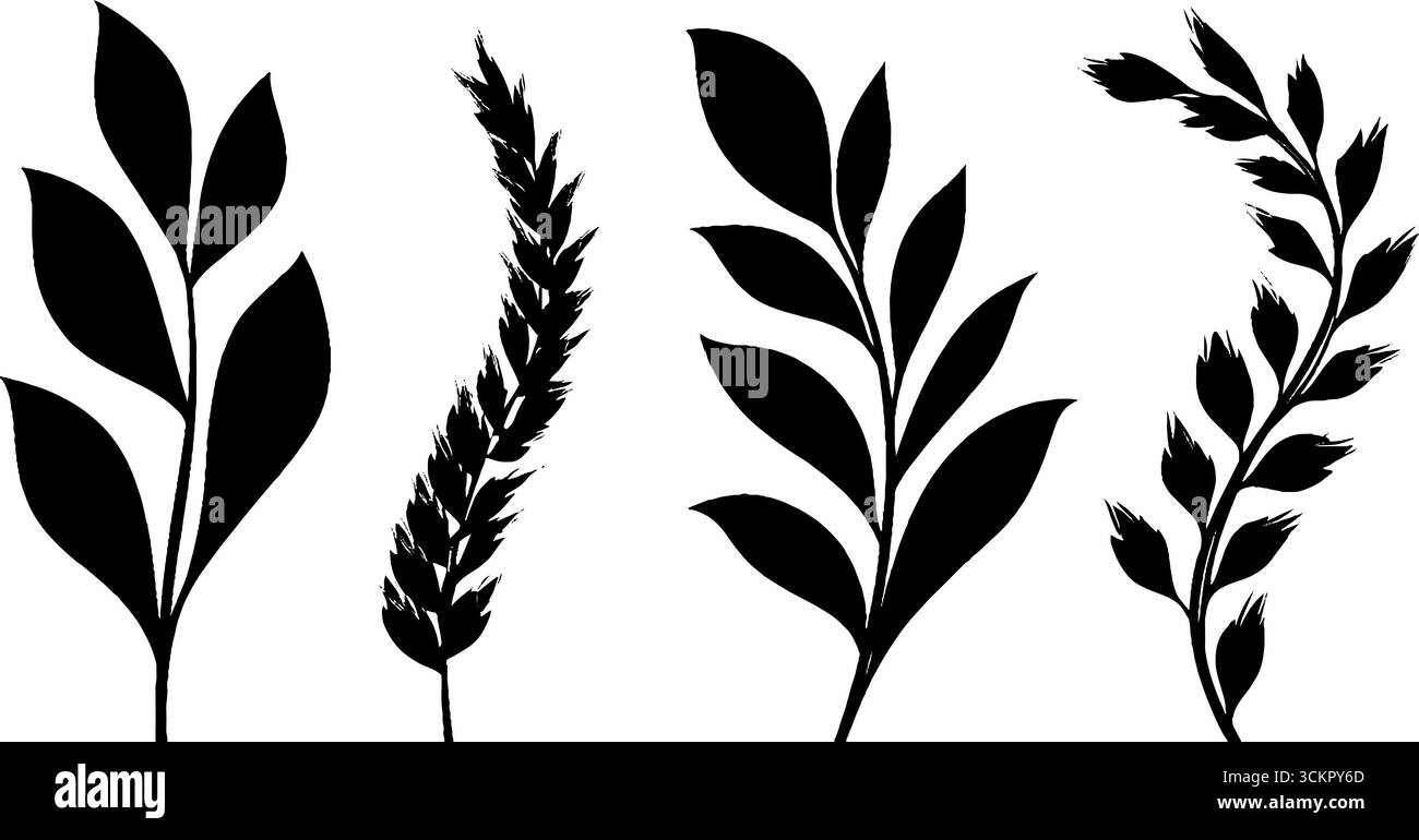 Botanical silhouette design of rye stalks and leaves for nature-themed ...