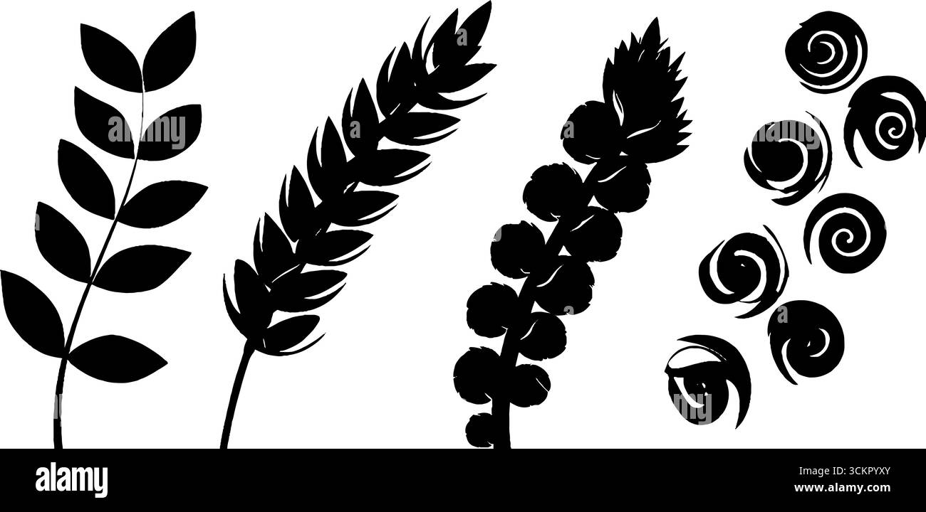 Stalk cluster Black and White Stock Photos & Images - Alamy