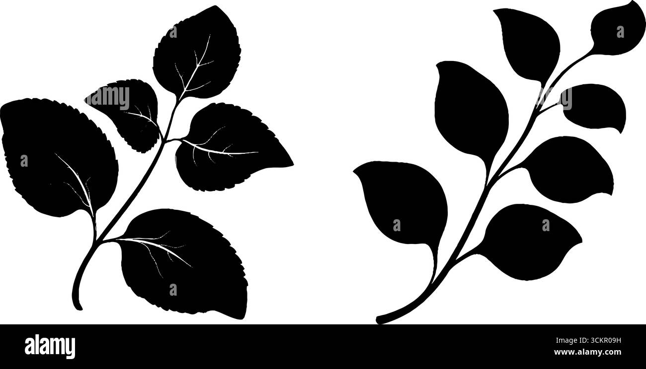 Botanical elements of mint sprigs with leaf swirls and stem curls for ...