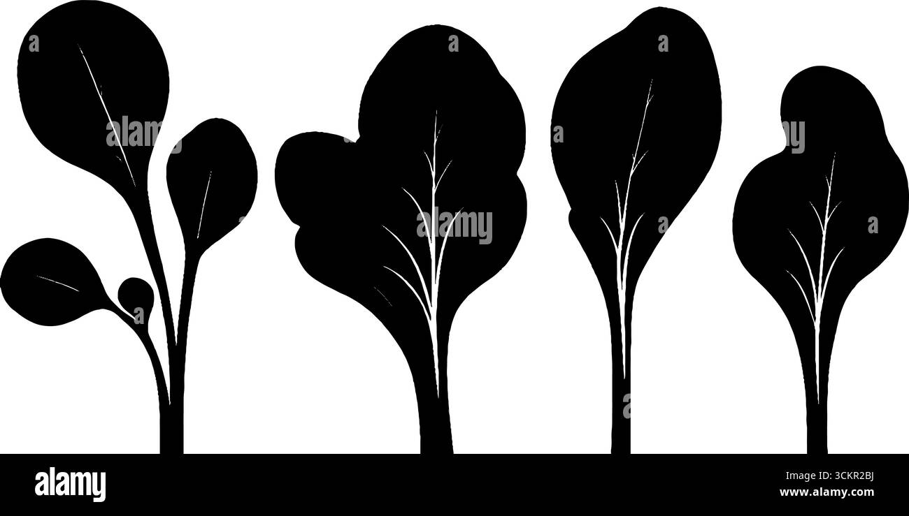 Spinach leaf and vein silhouettes with vein arcs and sprout swirls for ...