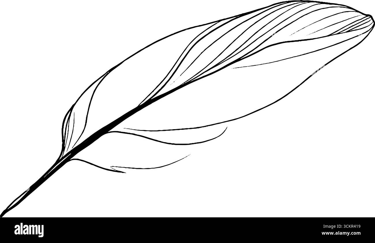 Elegance trim Black and White Stock Photos & Images - Alamy