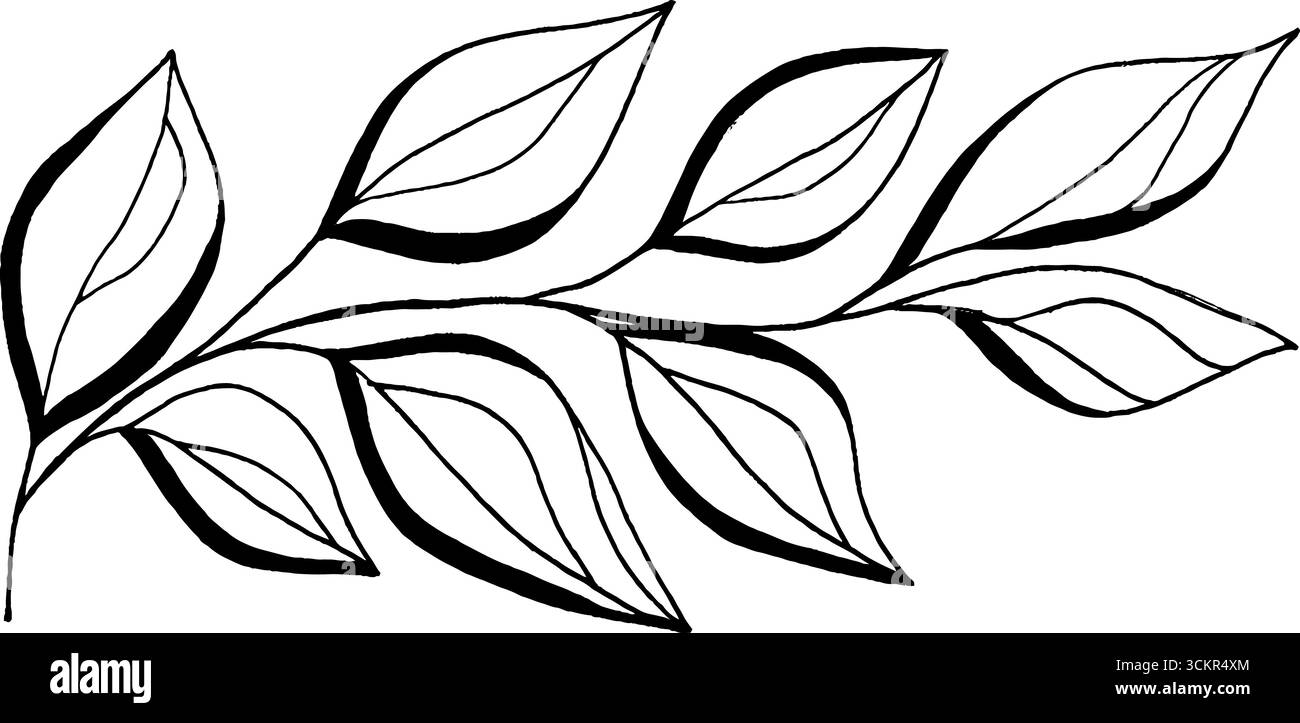 Elegant line art of cascading leaves forming a spiral design for nature ...
