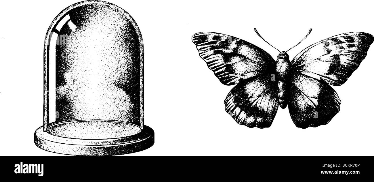 Intricate textured design featuring Cut Out Stock Images & Pictures - Alamy