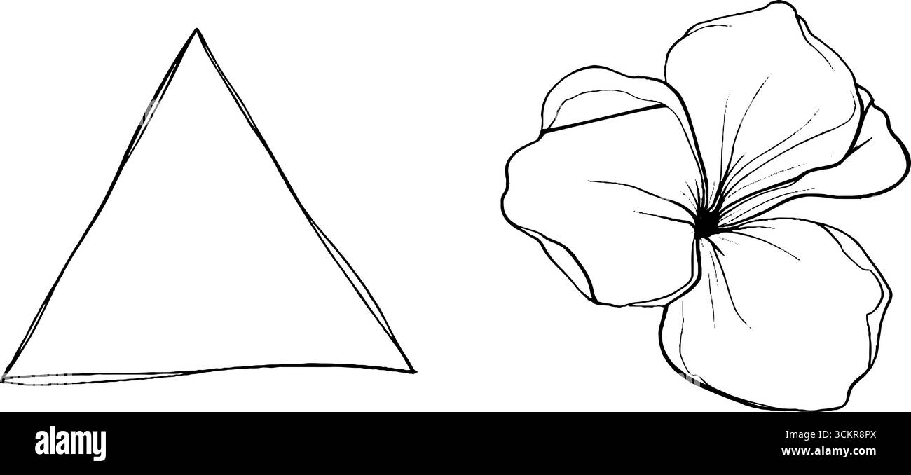 Geometric triangle and floral line art illustration set for creative ...