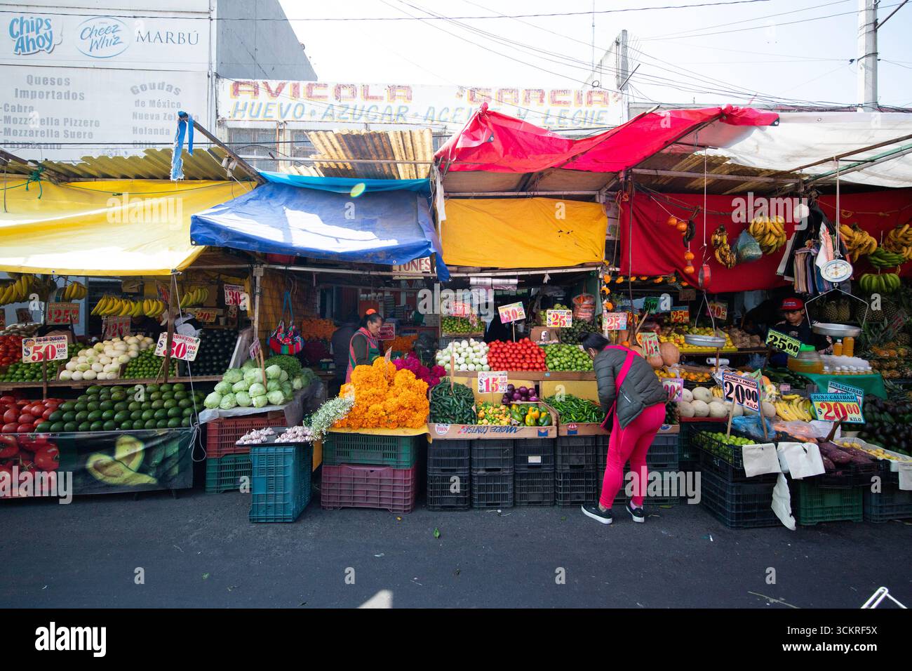 Mexico City, Mexico; November 1, 2025: Atmosphere and stalls at the ...