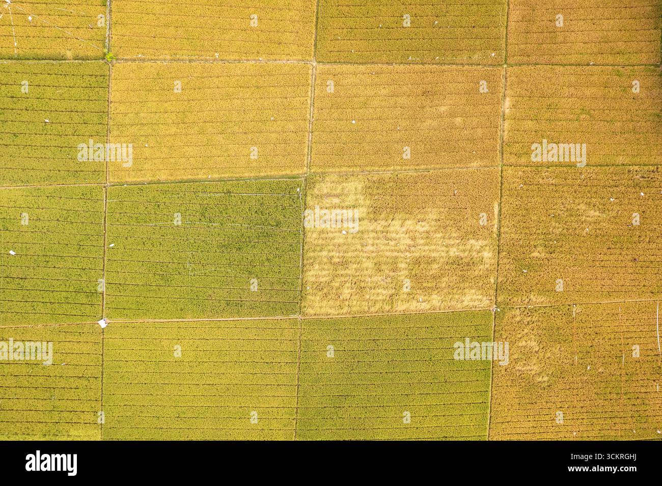 West Java. 11th Sep, 2025. An aerial drone photo taken on Sept. 11 ...