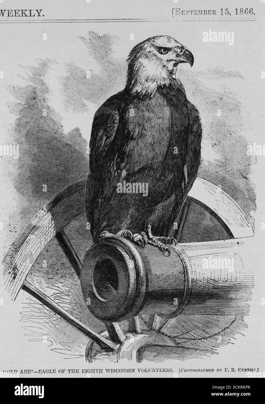 8th wisconsin volunteer infantry regiment hi-res stock photography and ...