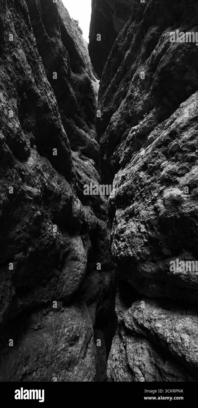 Ecosistema natural Black and White Stock Photos & Images - Alamy