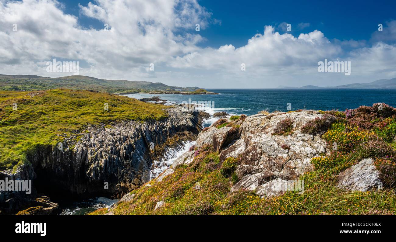 Rocky shoreline and cliffs of Lower Carboniferous marine sediments ...