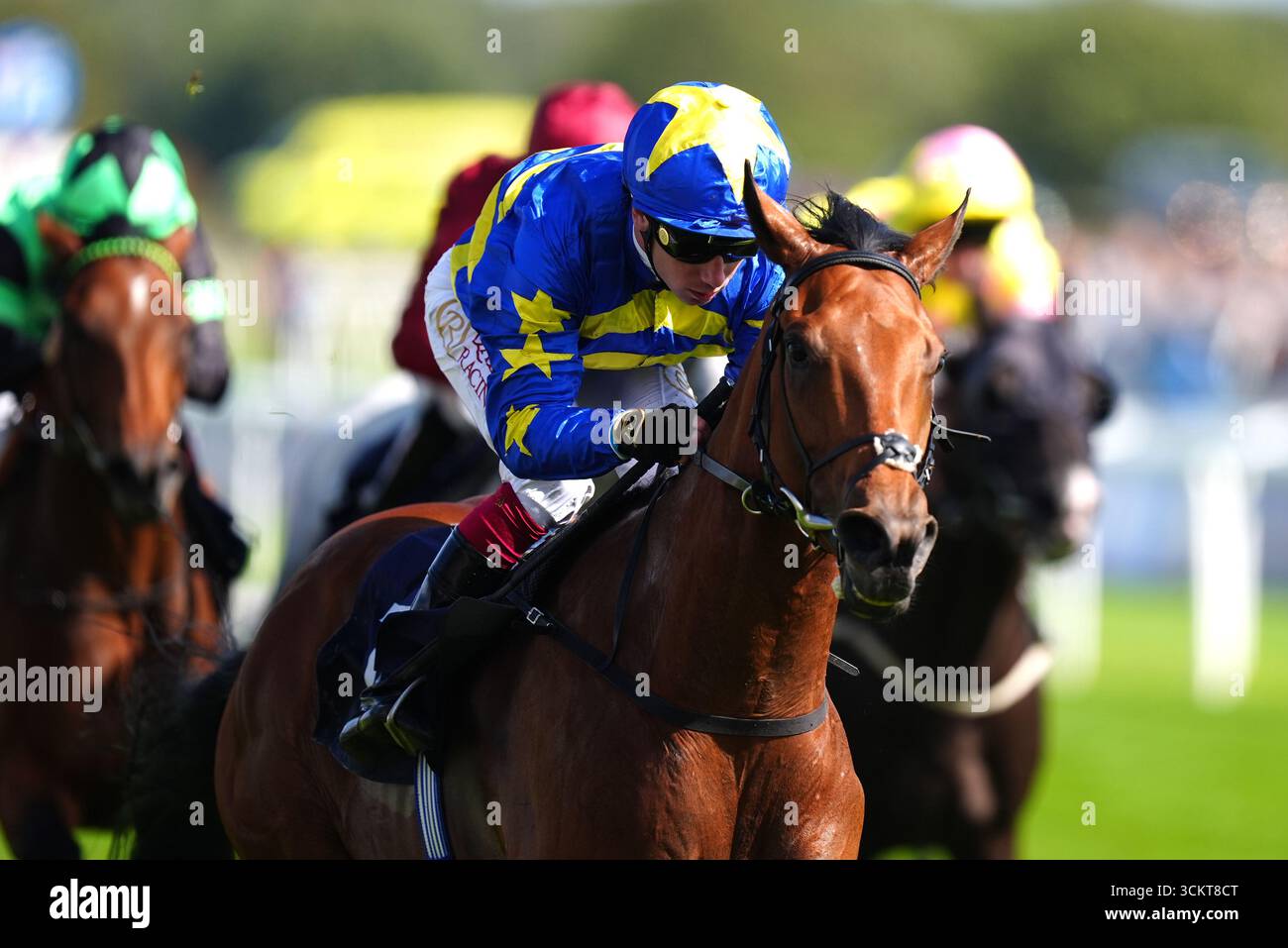 Treble Tee ridden by Oisin Murphy wins the PJ Towey Construction ...