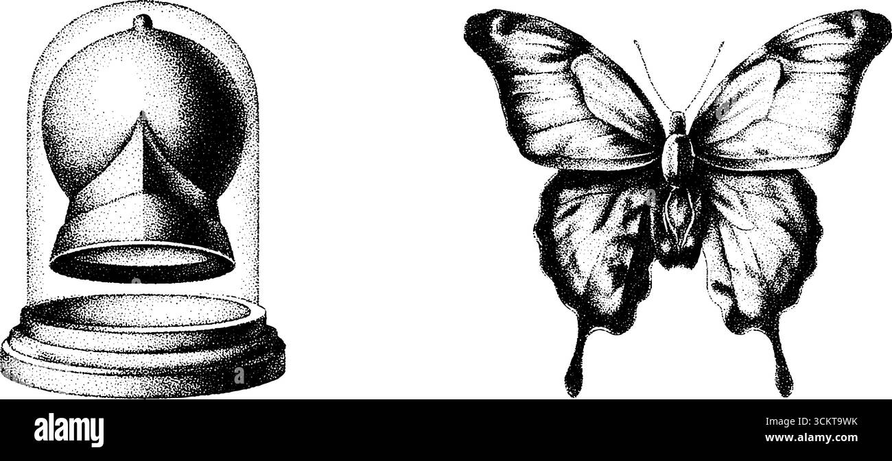 Dotwork butterfly and bell jar tattoo design concept Stock Vector Image ...