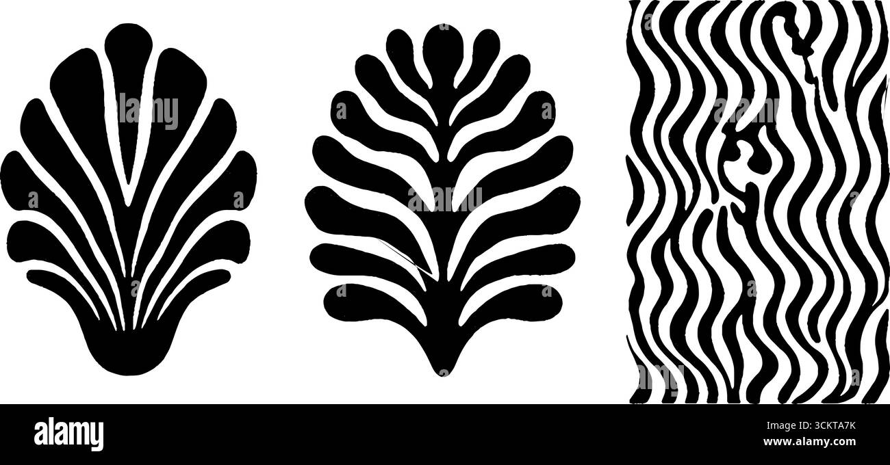 Featuring unique wing patterns Stock Vector Images - Alamy