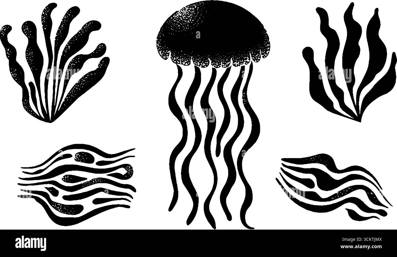 Oceanic black and white Stock Vector Images - Alamy