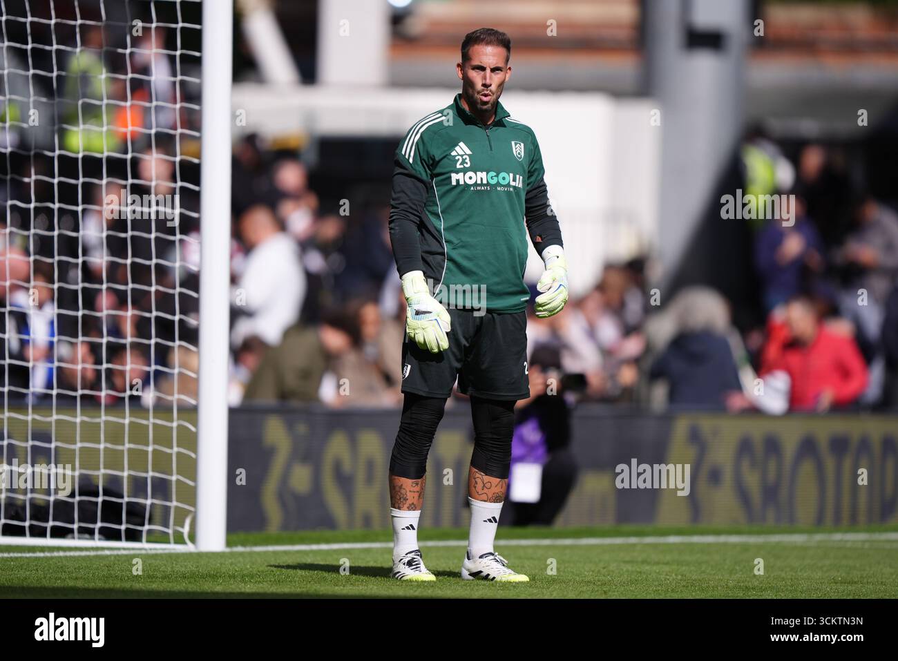 Fulham goalkeeper Benjamin Lecomte ahead of the Premier League match at ...