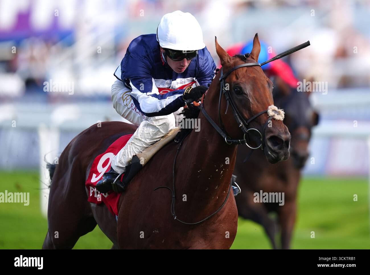 Marvelman ridden by Oisin Murphy on their way to winning the Betfred ...