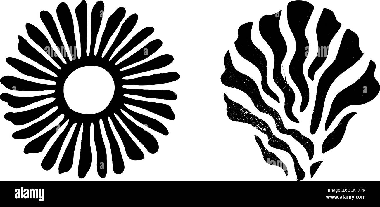 Nautical design elements featuring sea urchin spine and soft sand ...