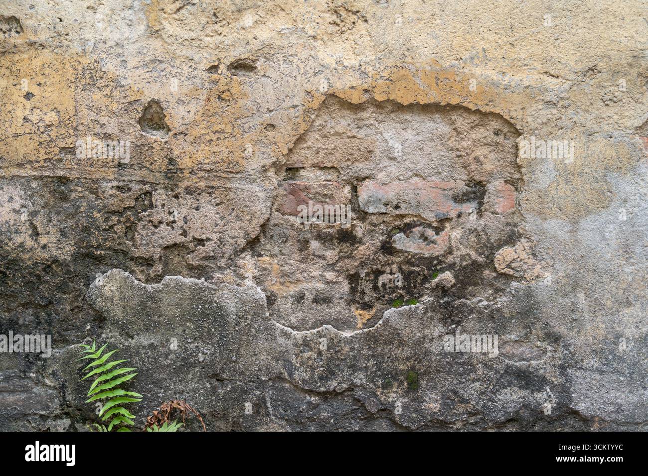 Weathered wall showcasing an exposed brick section surrounded by ...