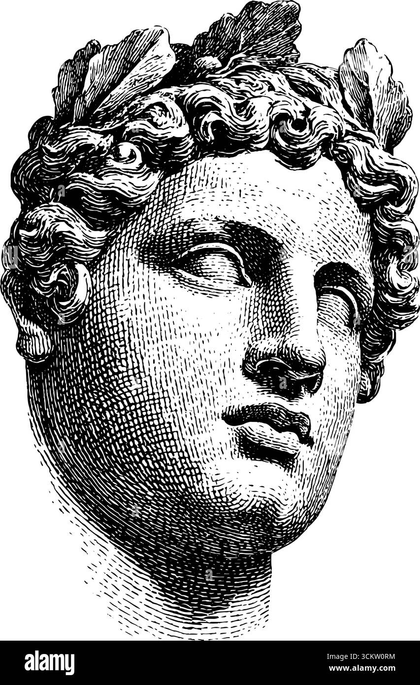 Vintage gorgon head in engraving style for classical art design Stock ...