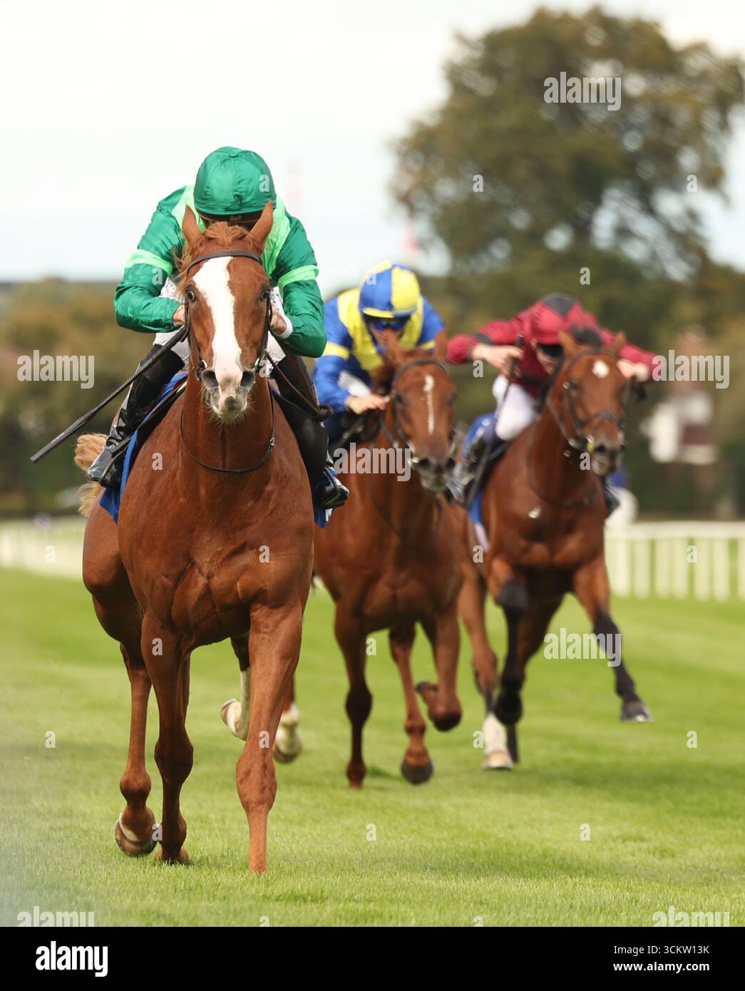 Benvenuto Cellini ridden by Christophe Soumillon on their way to ...