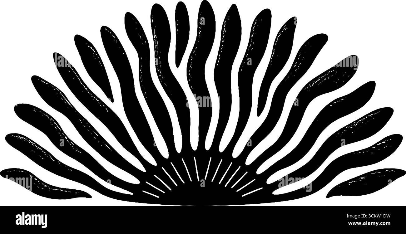 Minimalist black and white shell arc design for abstract art decor ...