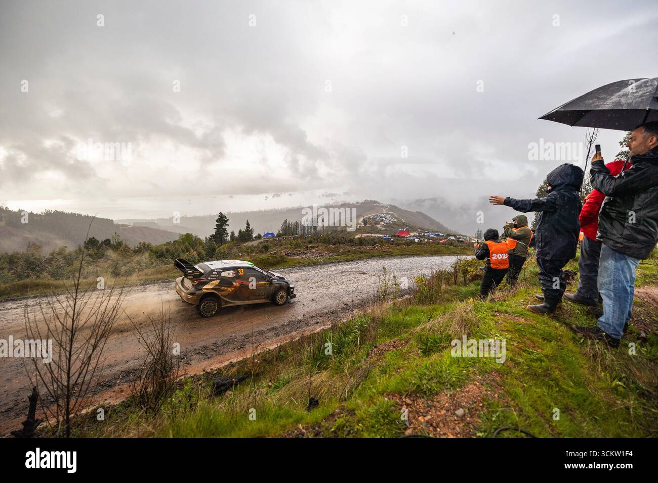 33 Elfyn EVANS, Scott MARTIN, Toyota GR Yaris Rally1, action during the ...
