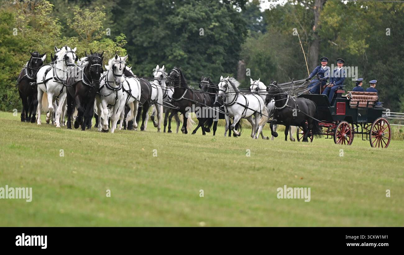 Coachman Jiri Nesvacil Jr. set a new Czech record when he demonstrated ...
