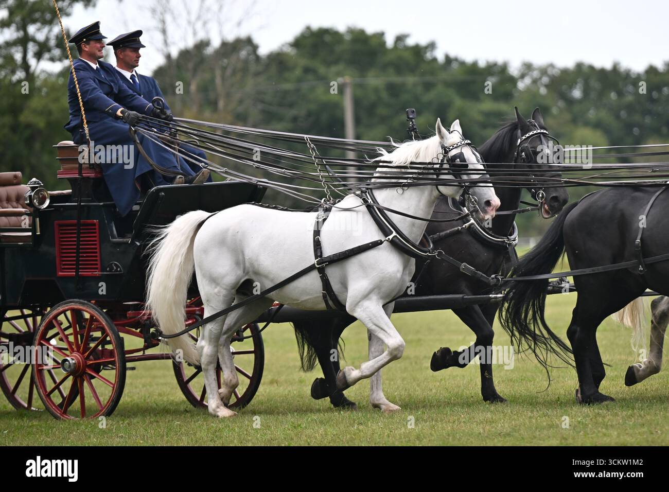 Coachman Jiri Nesvacil Jr. set a new Czech record when he demonstrated ...