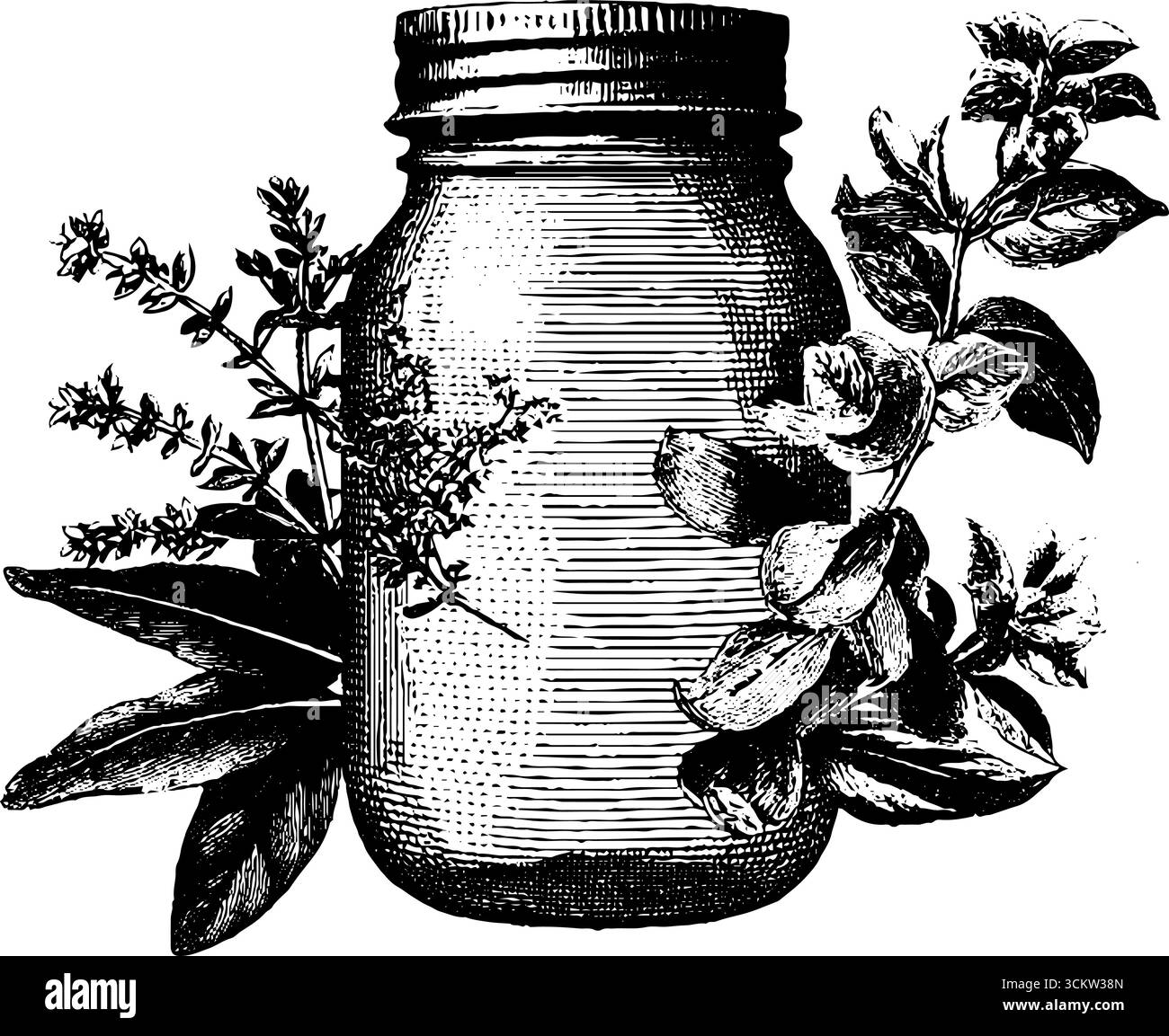 Decorative antique mason jar Black and White Stock Photos & Images - Alamy