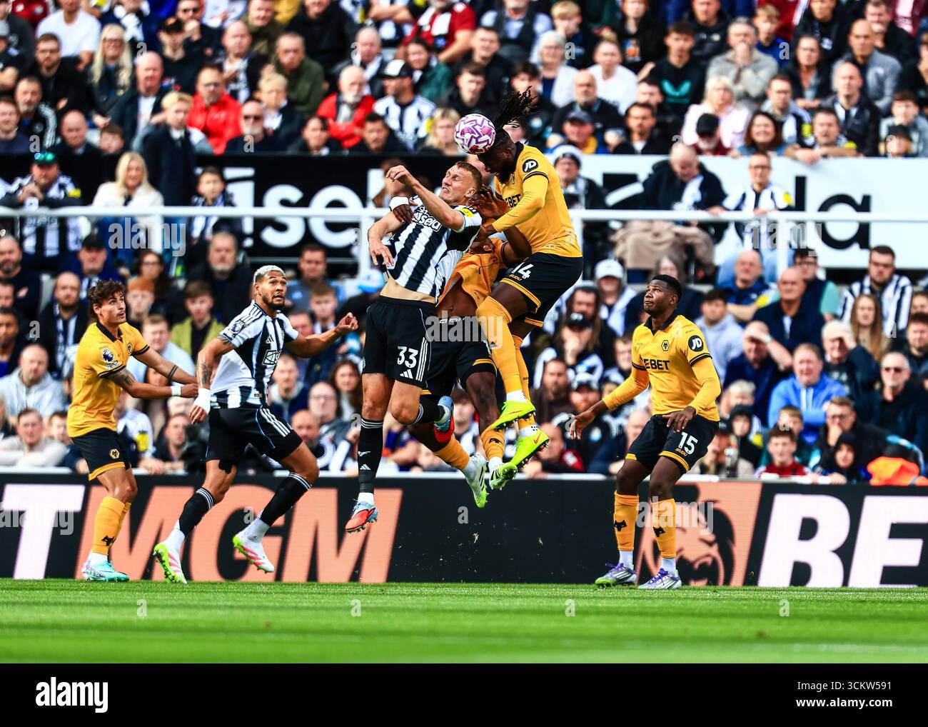 Tolu Arokodare of Wolverhampton Wanderers jumps up to win the high ball ...