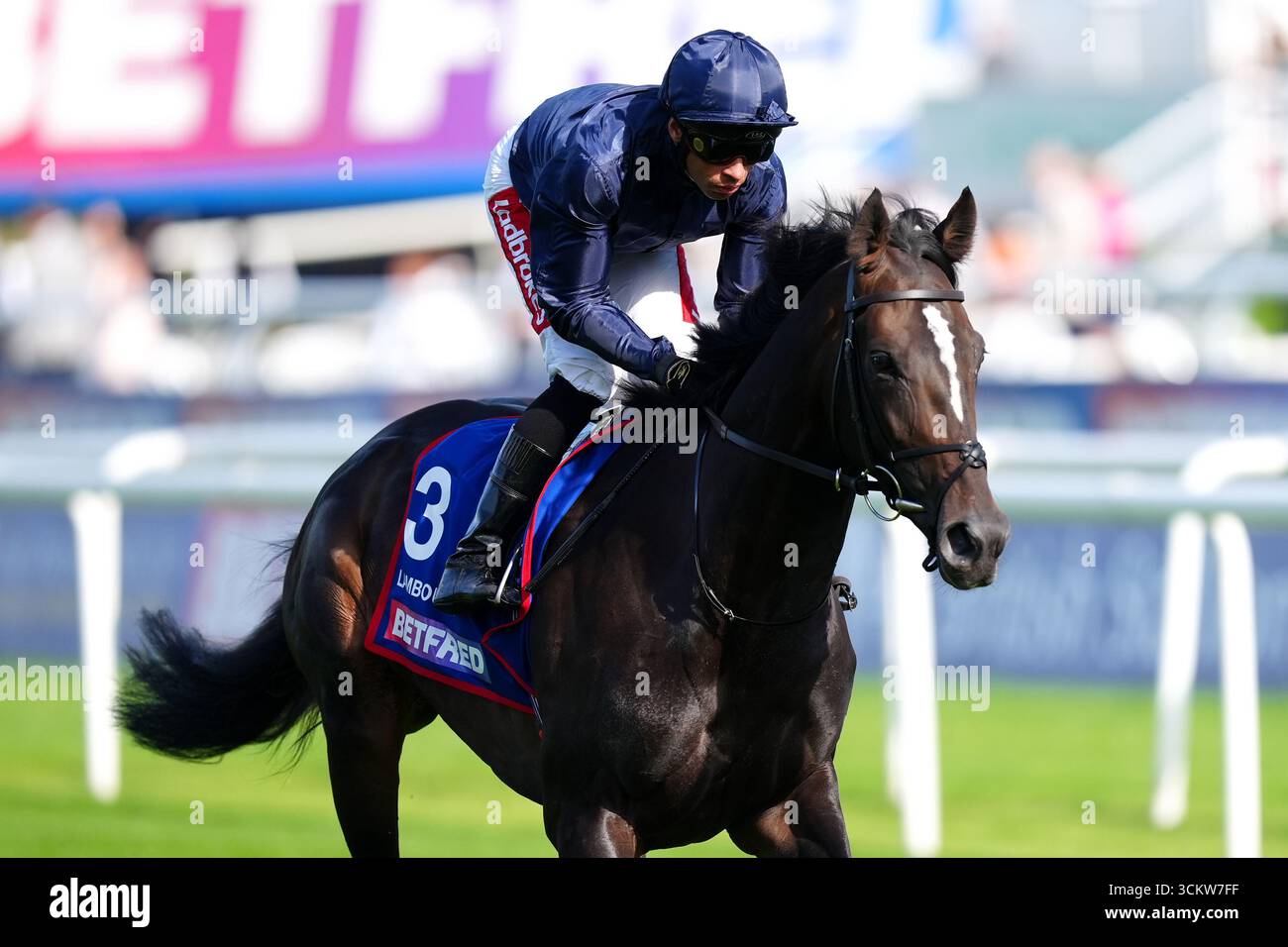 Lambourn ridden by Sean Levey riding to post before the Betfred St ...