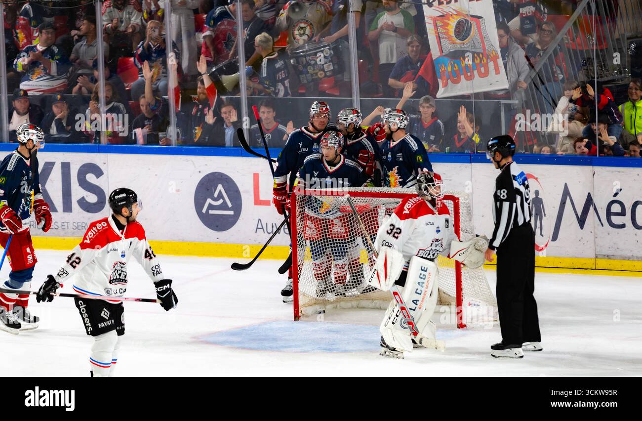 Grenoble celebrate their goal during Synerglace Magnus Ligue game ...