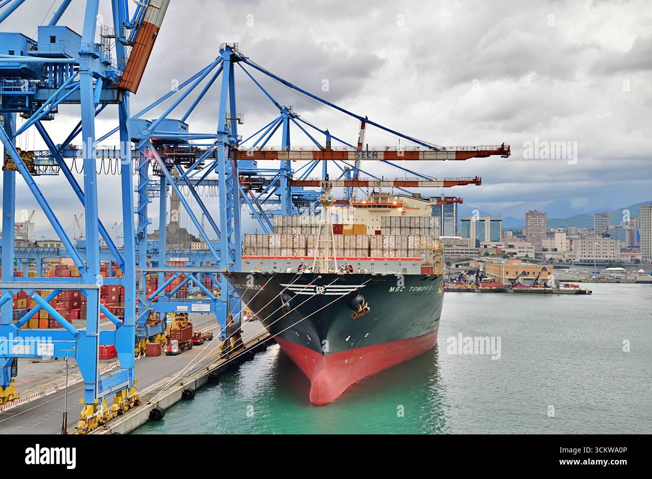 1.9.2025 Containerhafen Containerterminal am Hafen von Genua. Die MSC ...