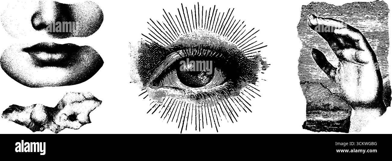 Expressionist elements: eye, hand, and facial features in artistic ...