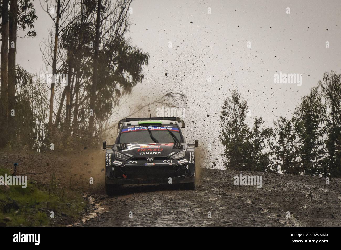 33 Elfyn EVANS, Scott MARTIN, Toyota GR Yaris Rally1, action during the ...