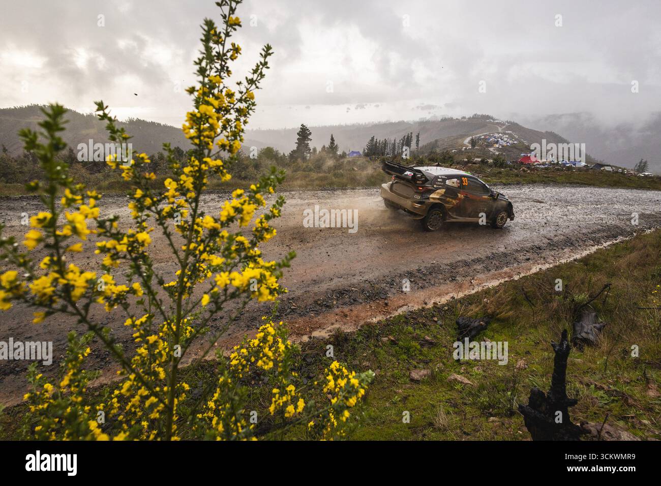 33 Elfyn EVANS, Scott MARTIN, Toyota GR Yaris Rally1, action during the ...