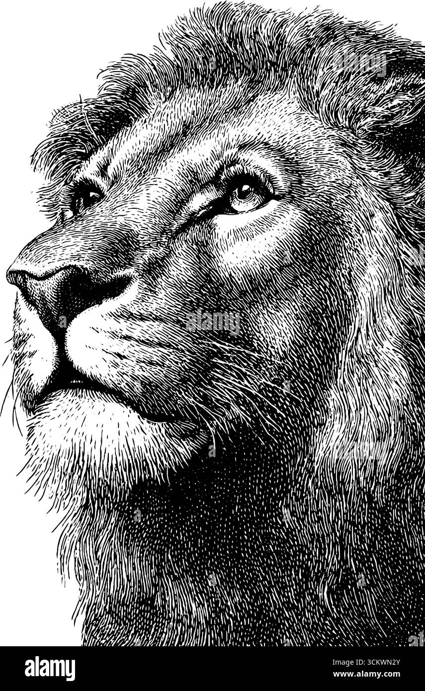 Heraldic lion rampant in vintage engraving style for historical design ...