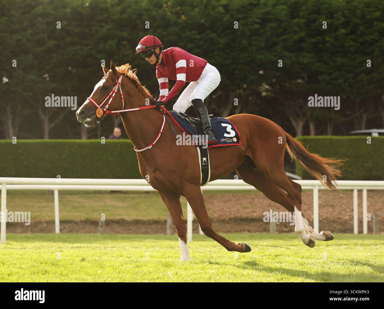 Shin Emperor ridden by Ryusei Sakai going to post ahead of the Royal ...