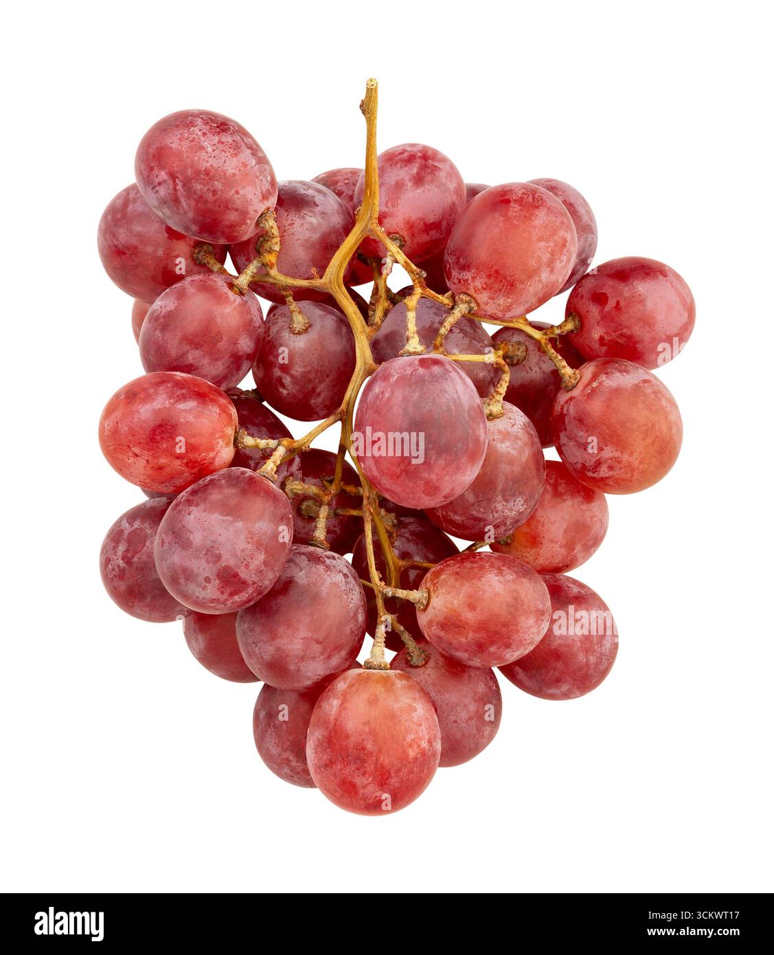 Grapes on the side hi-res stock photography and images - Alamy