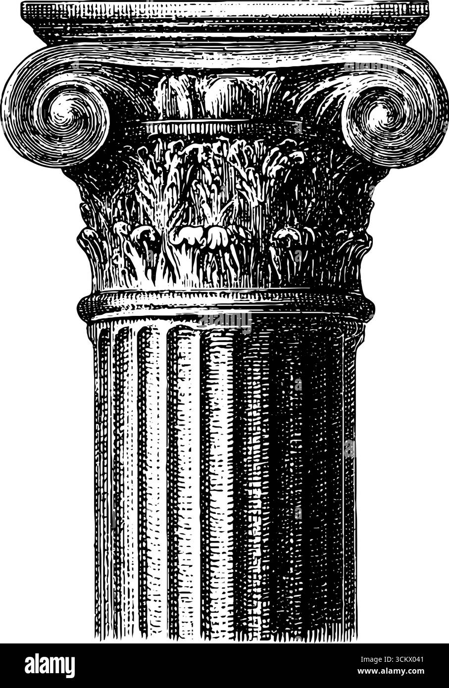 Detailed vintage engraving of a sculpted column base Stock Vector Image ...