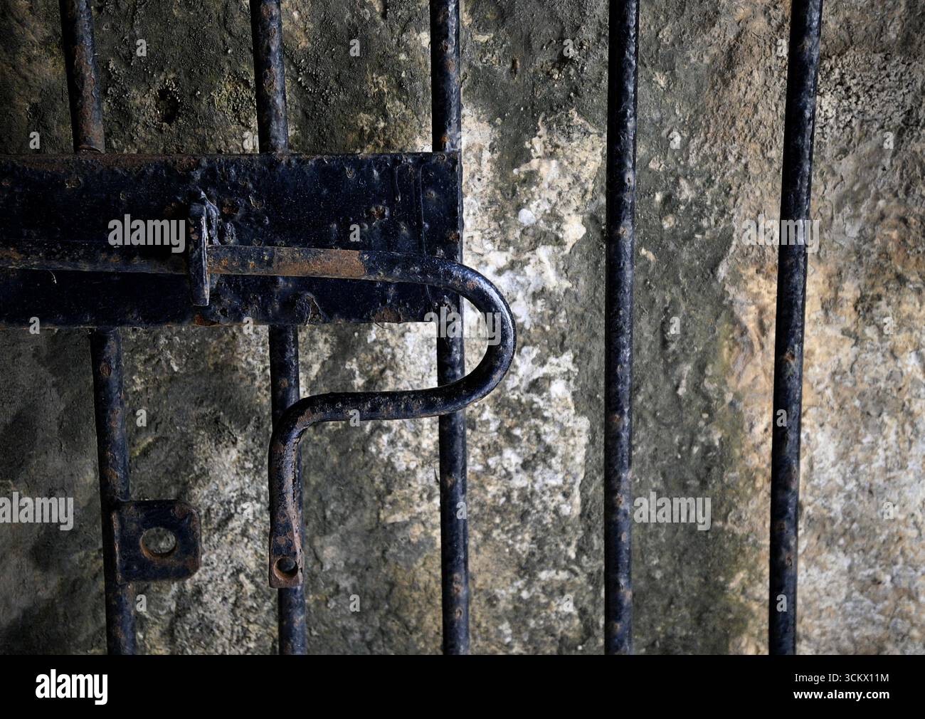 Antique wooden entrance gate with a wrought iron latch of the Fortezza ...