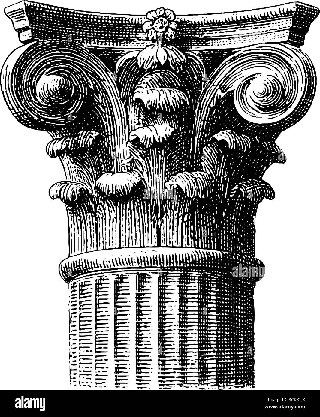 Detailed vintage corinthian capital ornament engraving for classical ...